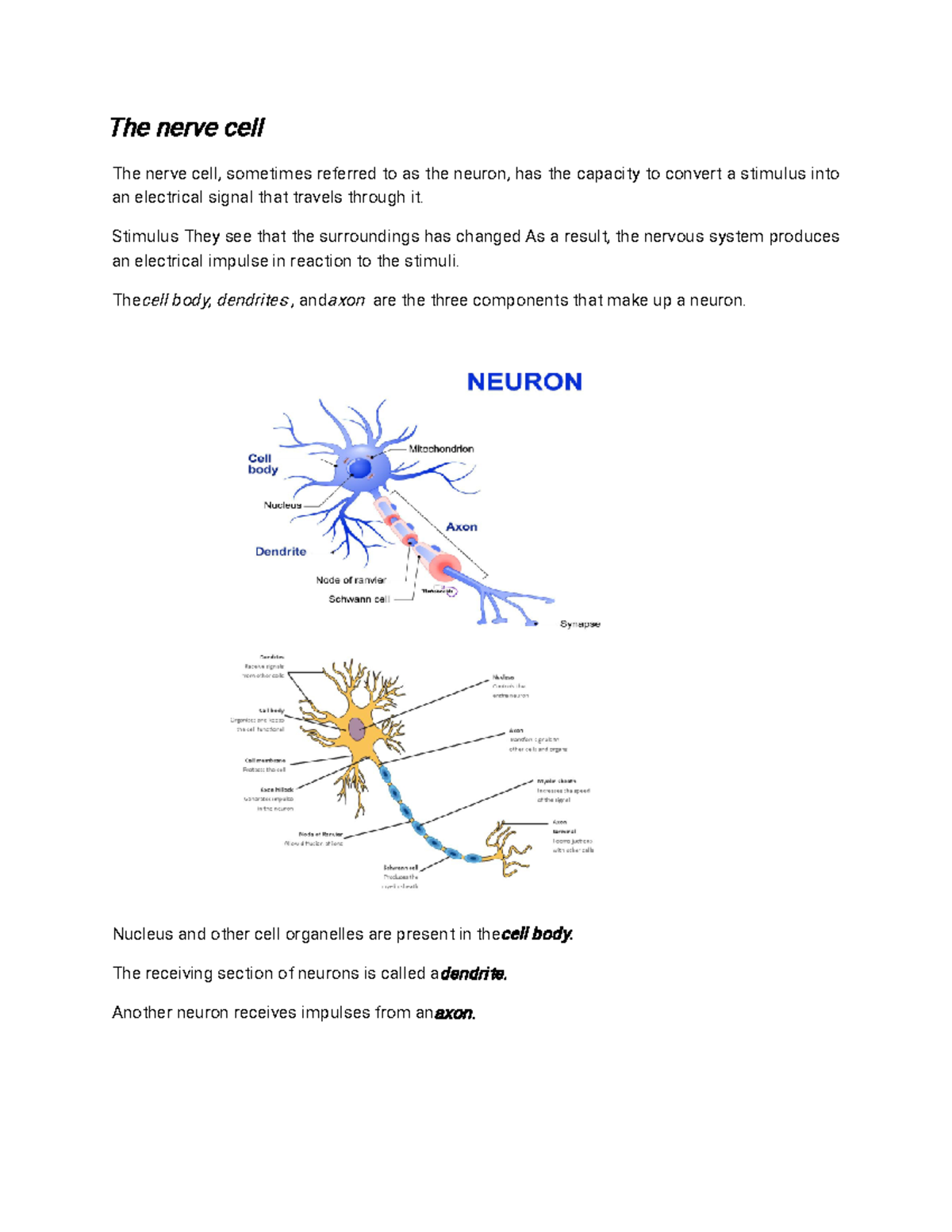 The nerve cell-WPS Office - Thenervecell The nerve cell, sometimes ...