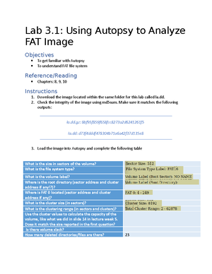 Option 2 - Forensics Analysis Individual Final Exam.doc - Autopsy ...