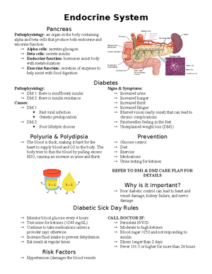DKA vs HHS Comparison Chart - Teacher - DKA vs HHS Comparison Chart ...