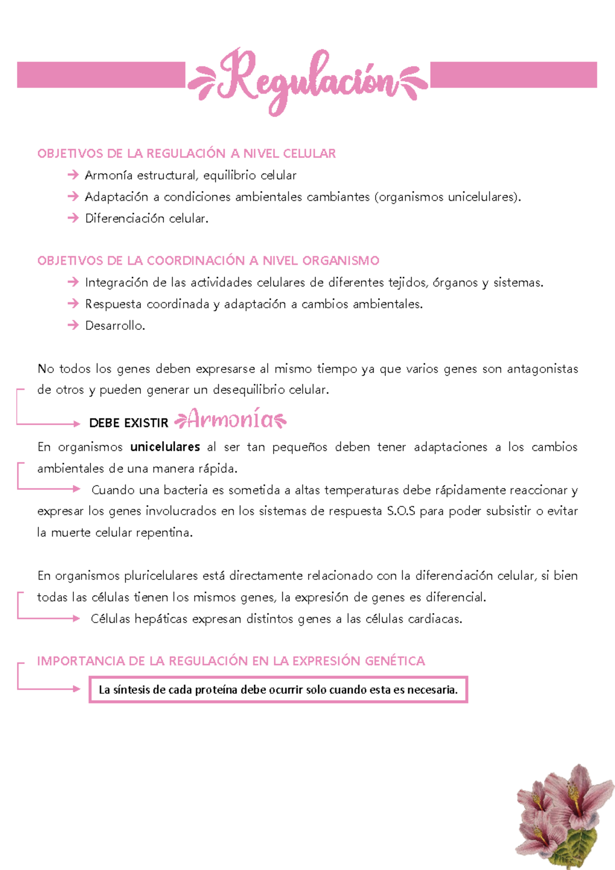 Apuntes Regulación Warning Tt Undefined Function 32 Warning Tt Undefined Function 32