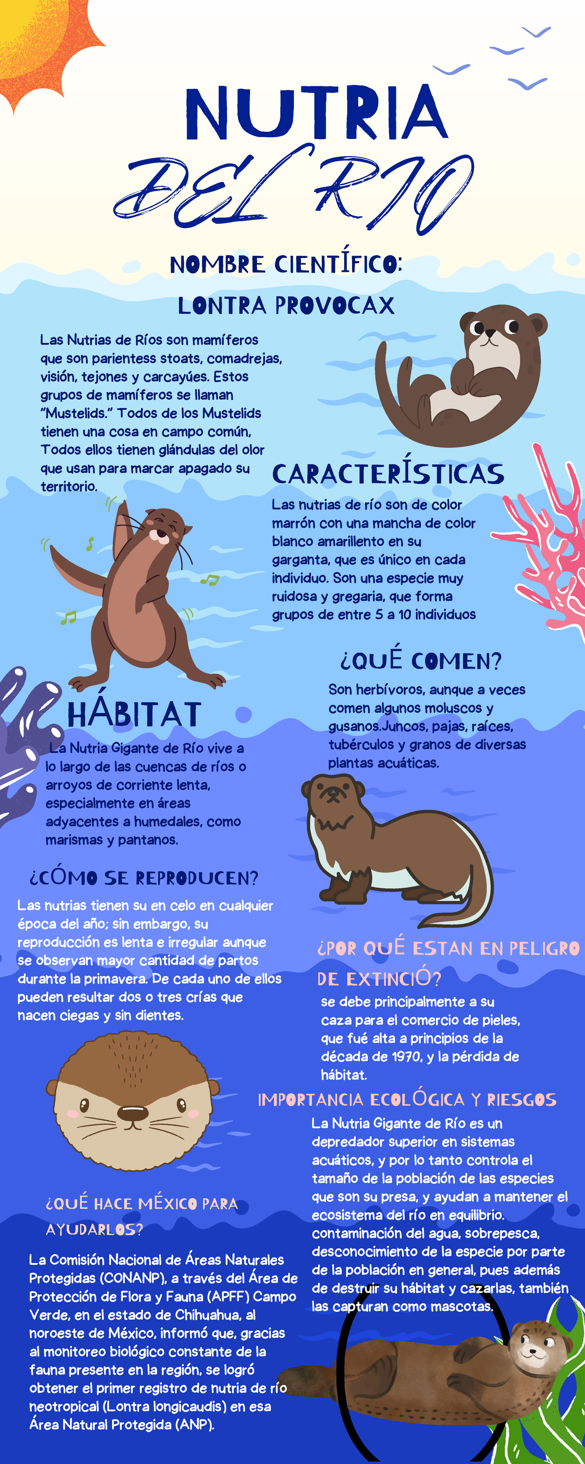 Infografía Animales y Océano Ilustrativo Azul - DEL RIO NUTRIA ¿QUÉ ...