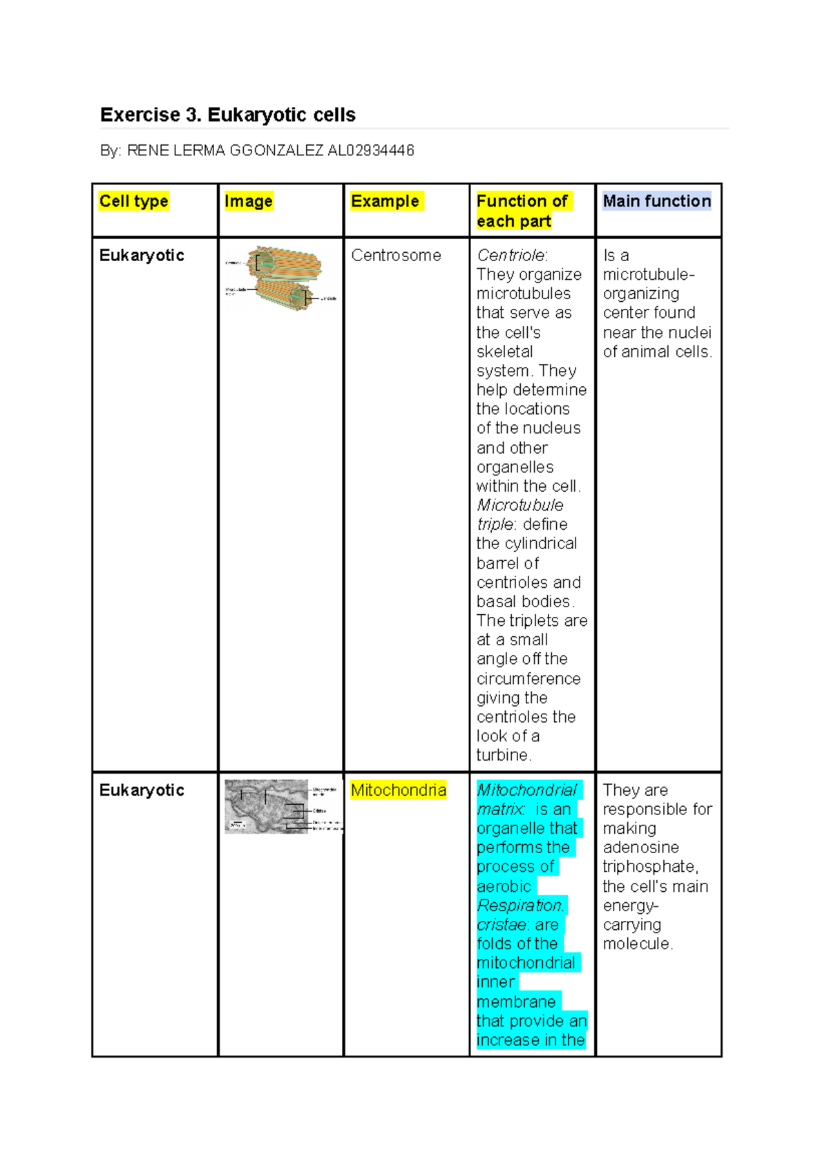 Exercise 3 RENE Lerma - life science - Exercise 3. Eukaryotic cells By ...