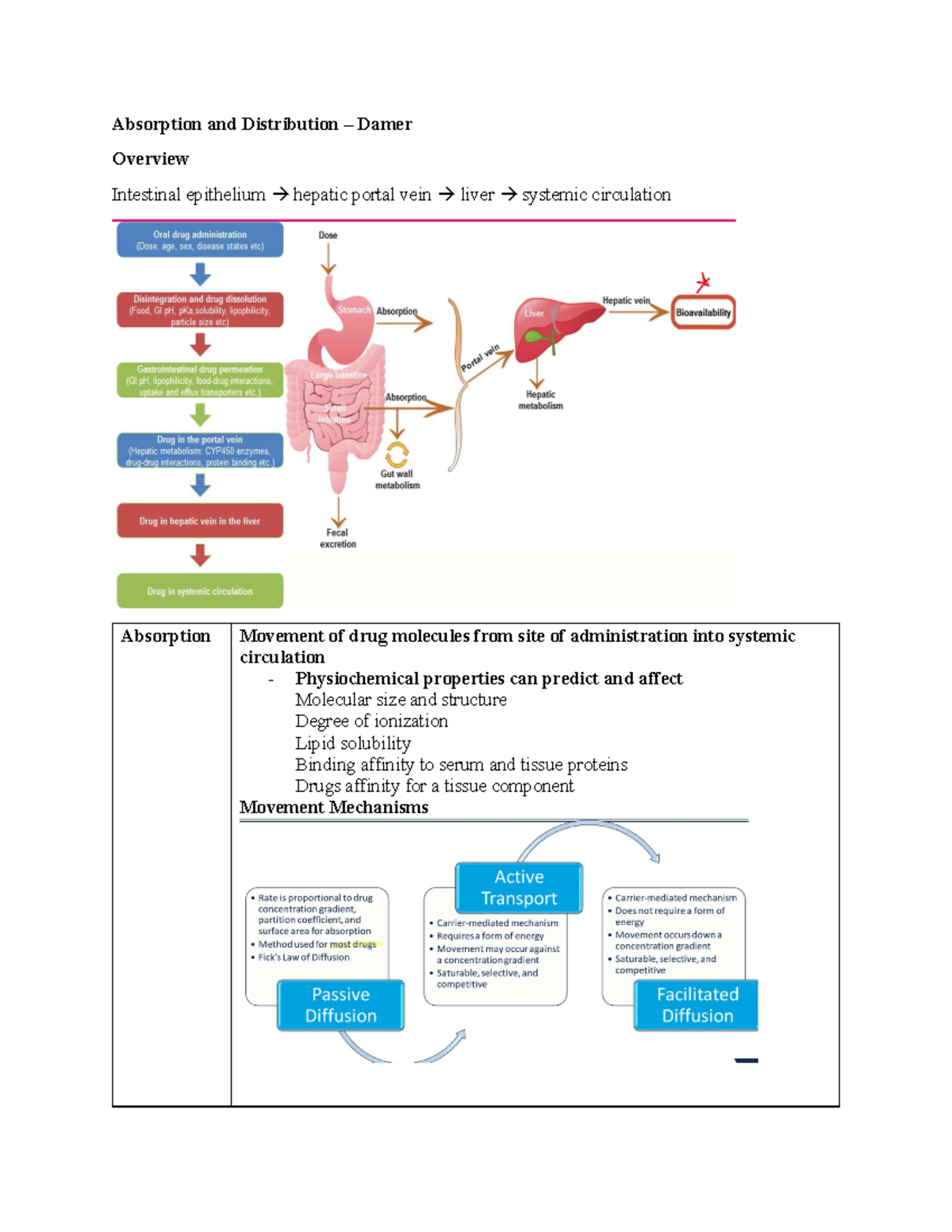 Absorption and distribution - Studocu