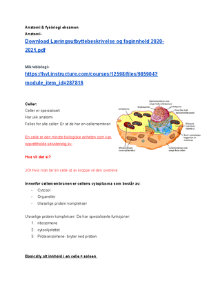 Hjerte og sirkulasjon - notat - Hjertet-sirkulasjon Oppgave 1) Hva vi lærte av å dissekere ...
