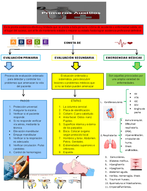 Clasificación DE Ambulatorios ( Urbanos, Rurales). Clasificación DE LOS ...