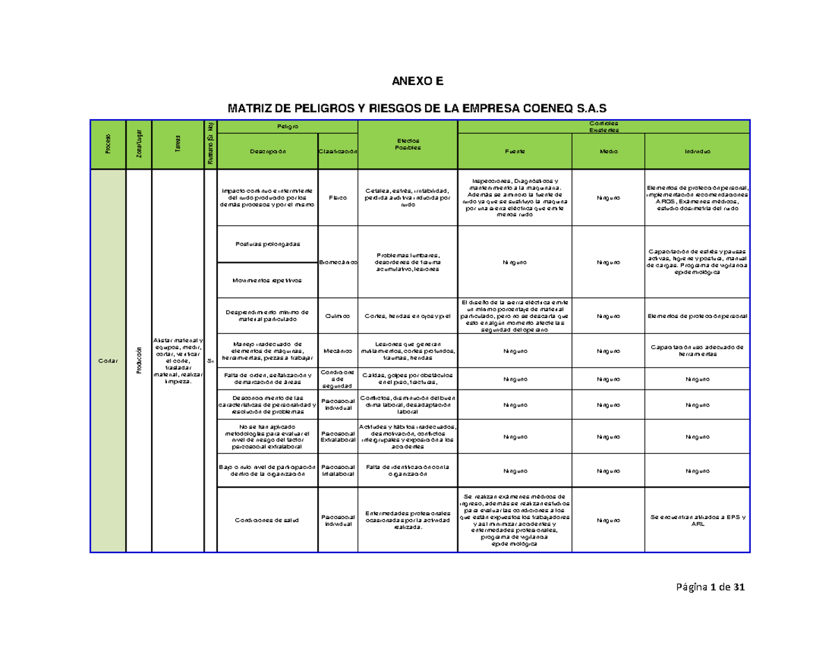 Anexo E Matriz DE Peligros Y Riesgos DE LA Empresa Coeneq S - MATRIZ DE PELIGROS Y RIESGOS DE LA ...