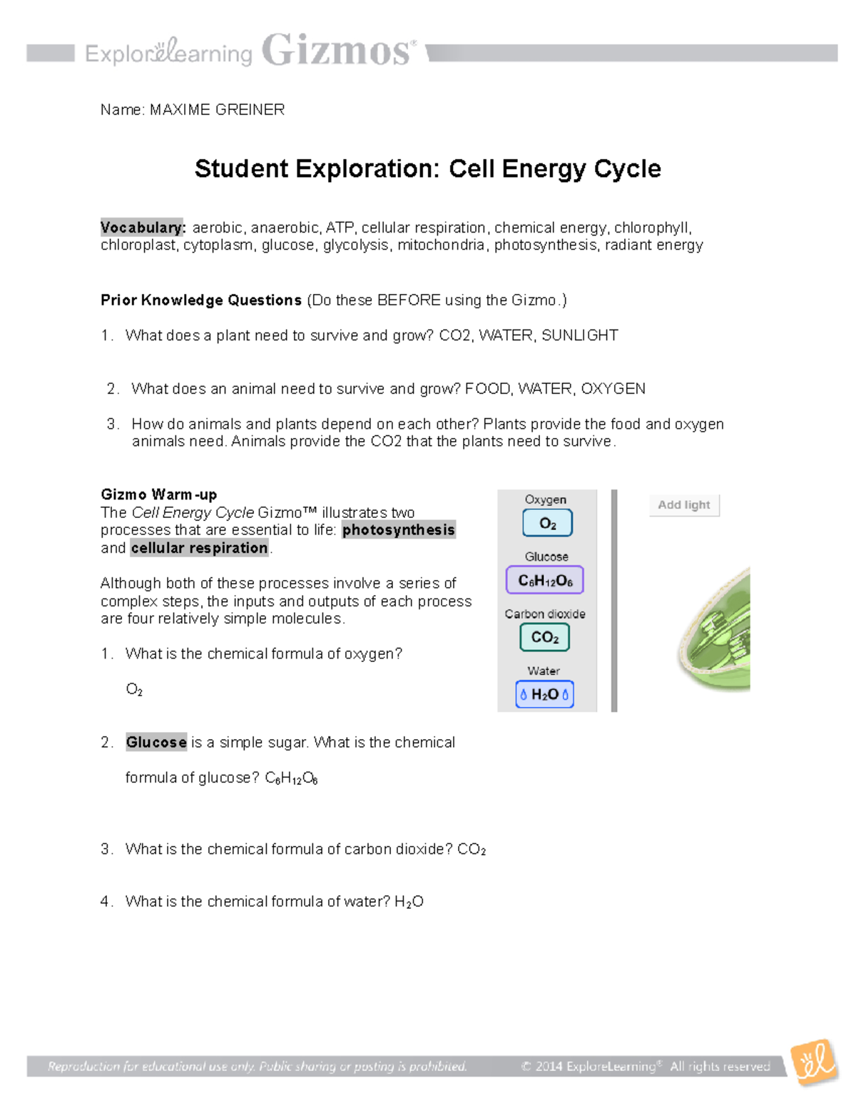 Cell Energy Gizmo Name MAXIME GREINER Student Exploration Cell
