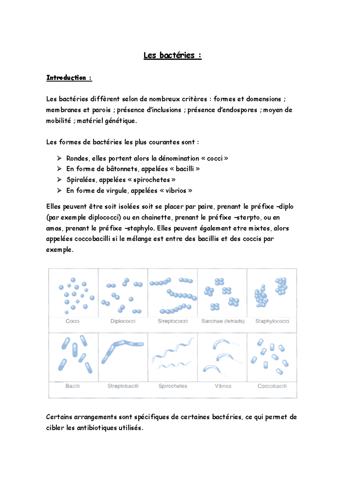 Microbiologie - Chapitre 2 - Les bactéries - Microbiologie Médicale ...