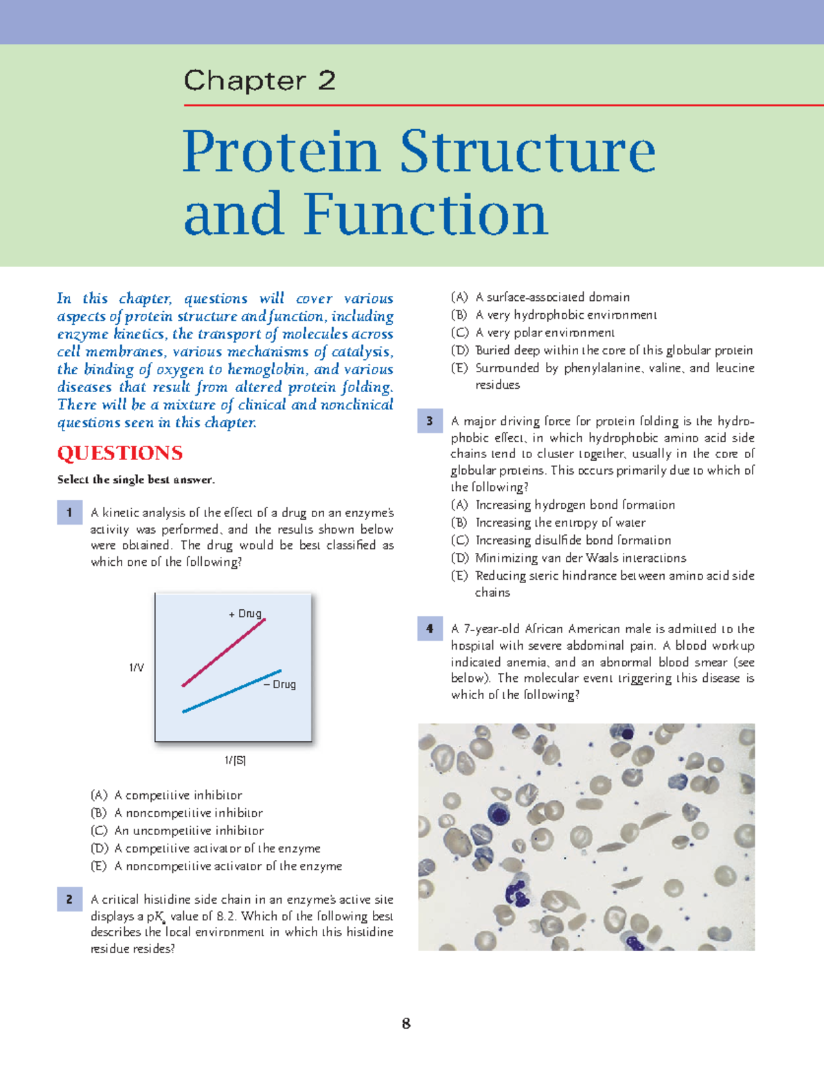 Exam 1 Chap 2 Practice questions - 8 Chapter 2 Protein Structure and ...