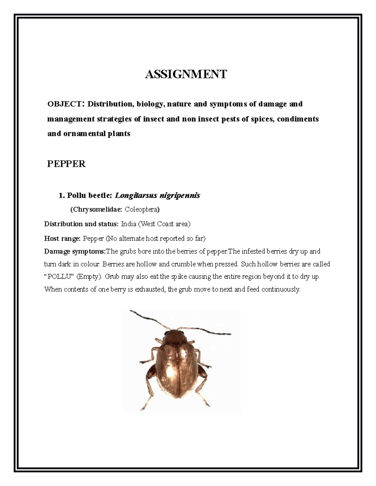 Pests of spices, condiments and ornamental plants - ASSIGNMENT OBJECT ...
