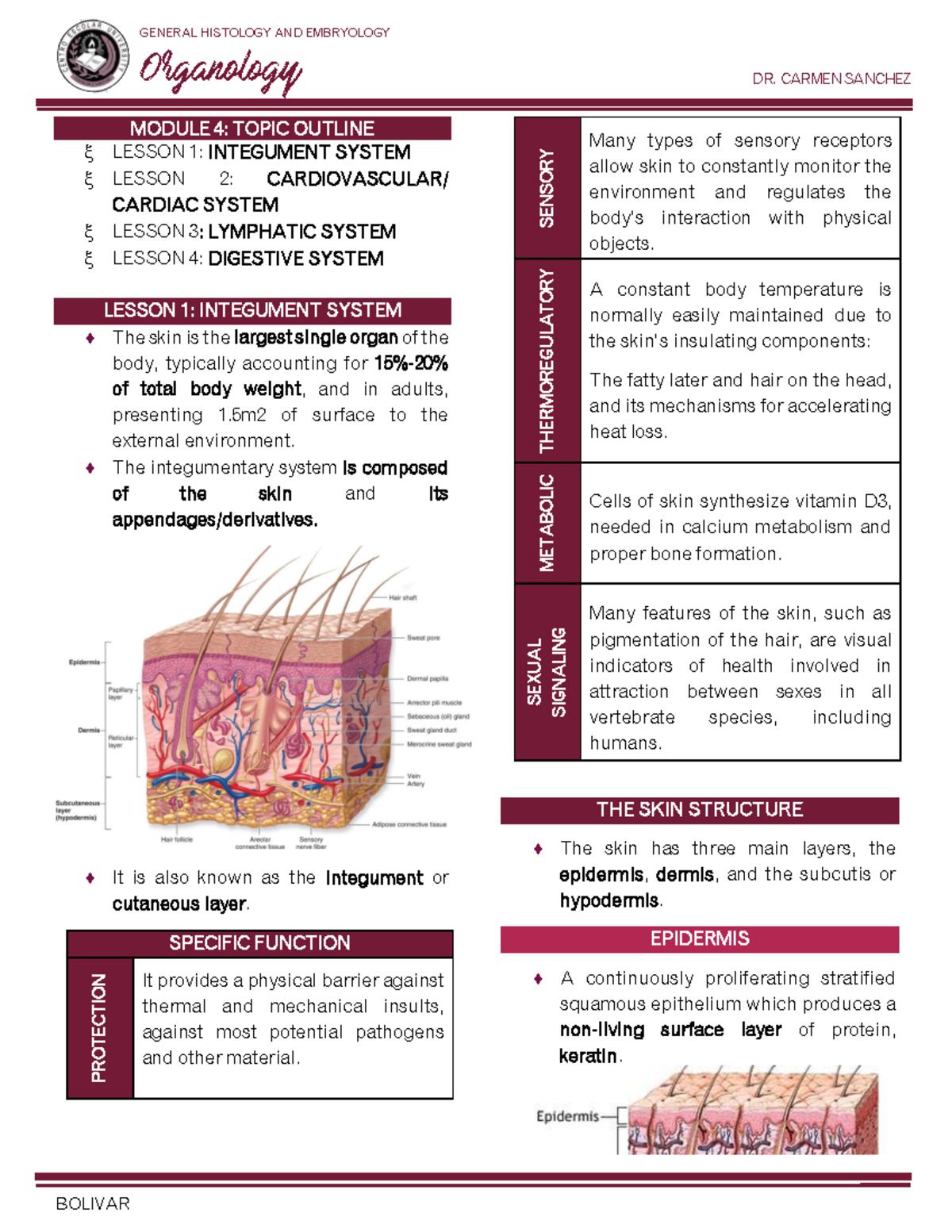 Genhisto Transes - Lecture notes 1 - DR. CARMEN SANCHEZ MODULE 4: TOPIC ...