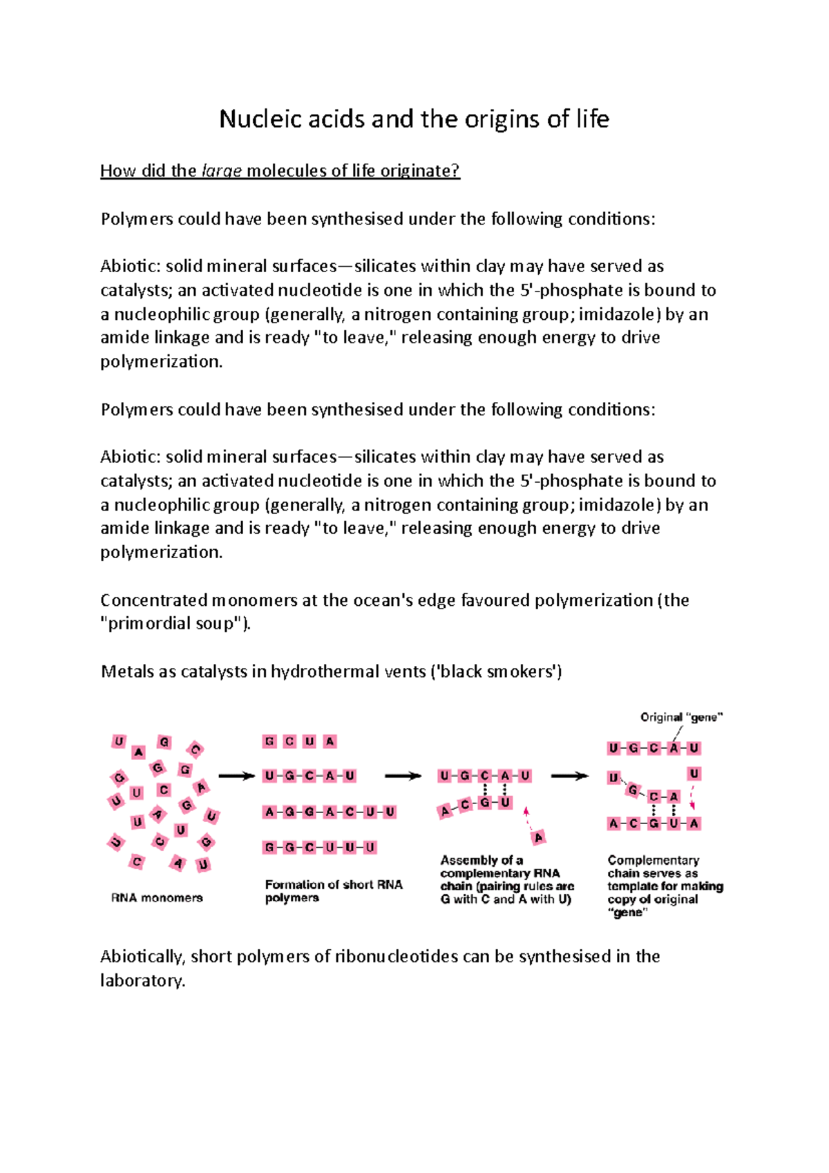 Nucleic acids and the origins of life notes - Nucleic acids and the ...