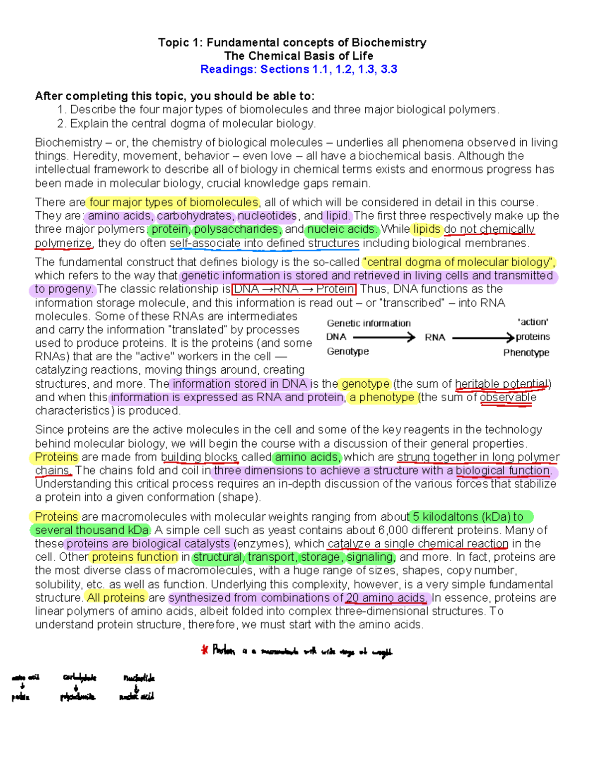 Biochem 2280 Topic Notes.pdf - Topic 1: Fundamental concepts of ...