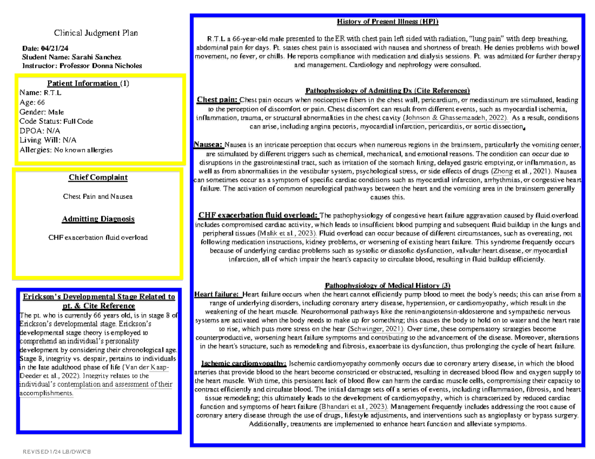 Clinical Judgement Plan - Clinical Judgment Plan REVISED 1/24 LB/DW/CB ...