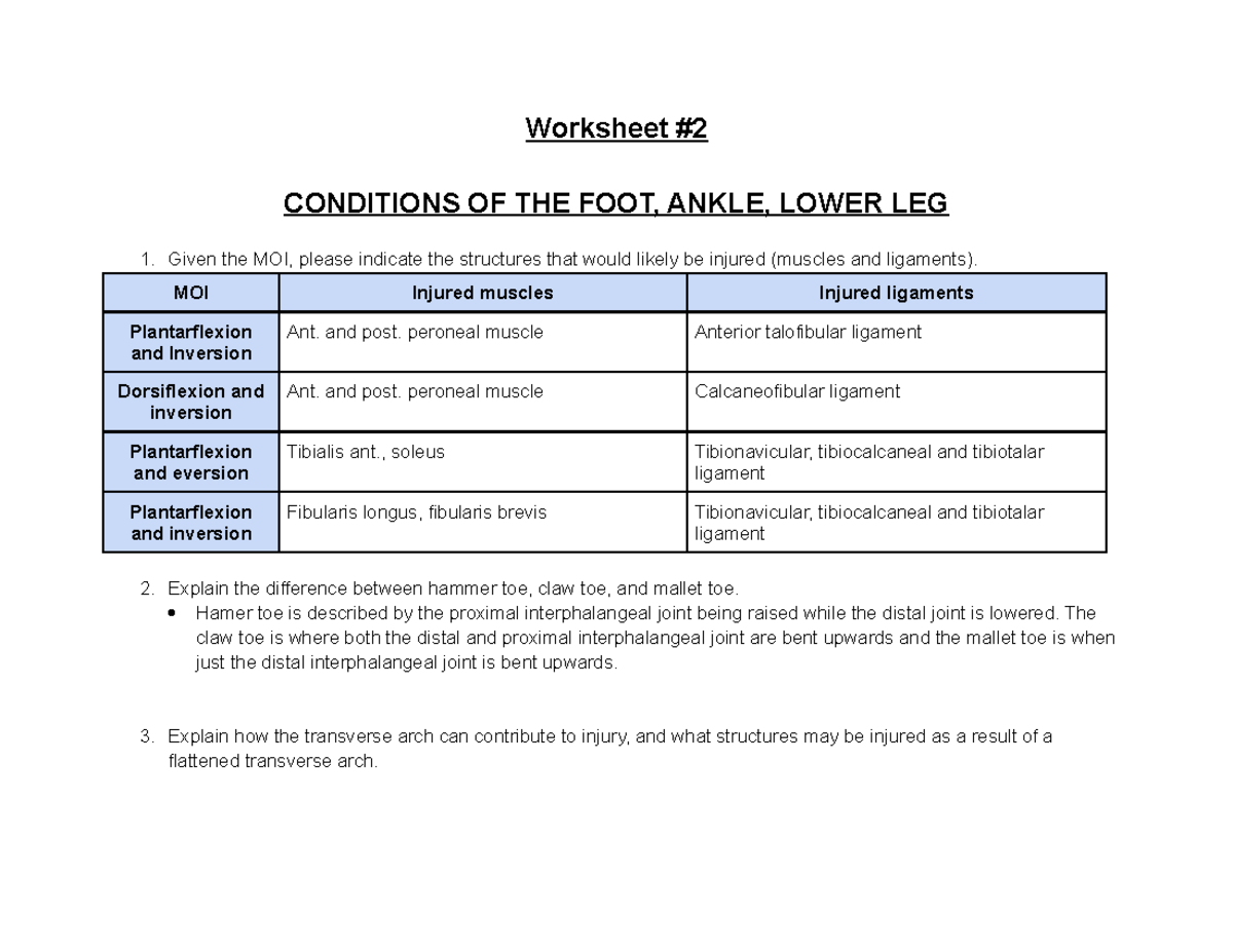 CATA 263 Worksheet #2 - Worksheet CONDITIONS OF THE FOOT, ANKLE, LOWER ...