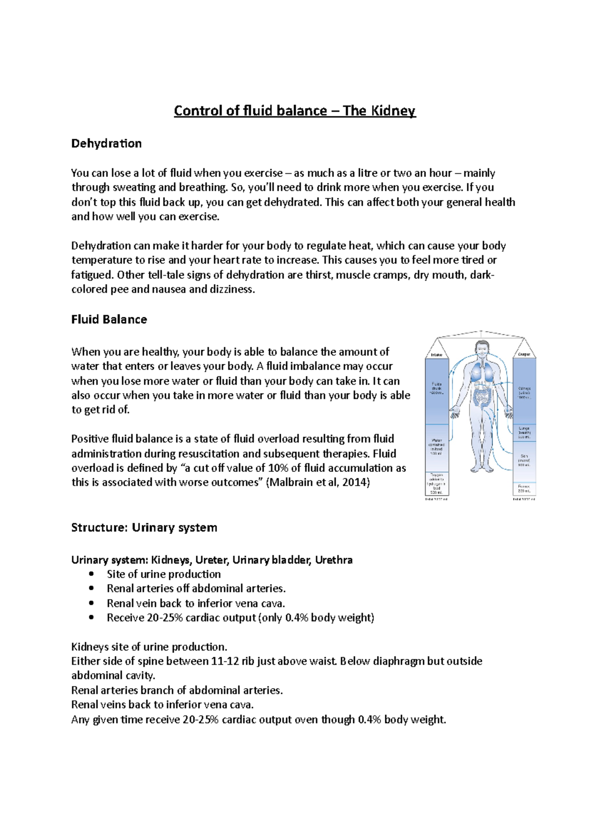 Control of fluid balance - the kidney - Control of fluid balance – The ...