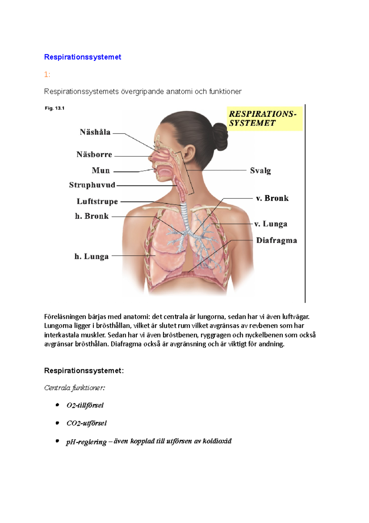 Respirationssystemet - Respirationssystemet 1: Respirationssystemets ...