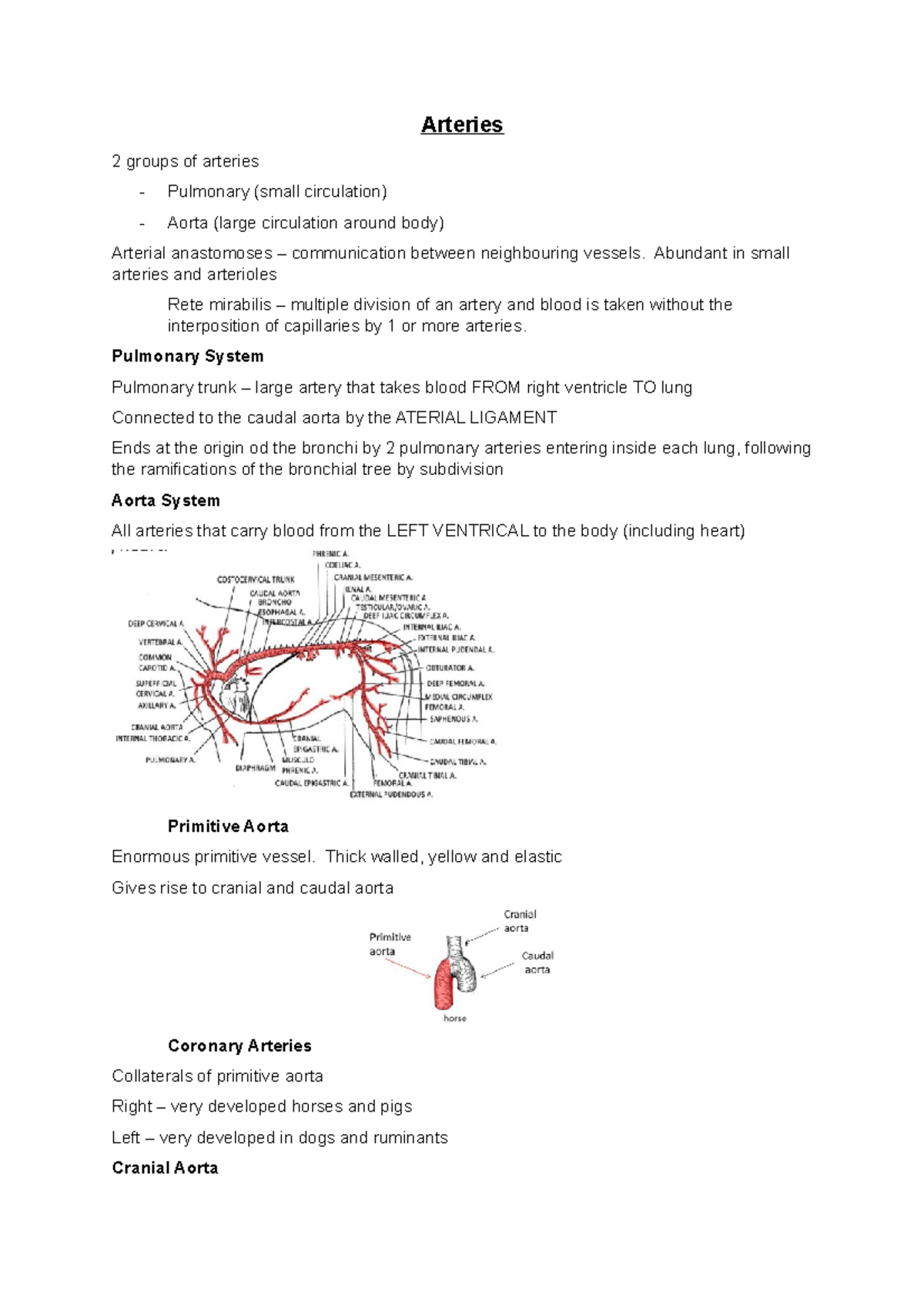 Arteries - Arteries 2 groups of arteries - Pulmonary (small circulation ...