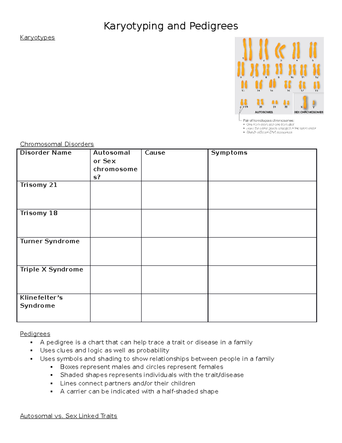 Unit 8 Student Notes - 22323 - Karyotyping and Pedigrees Karyotypes ...