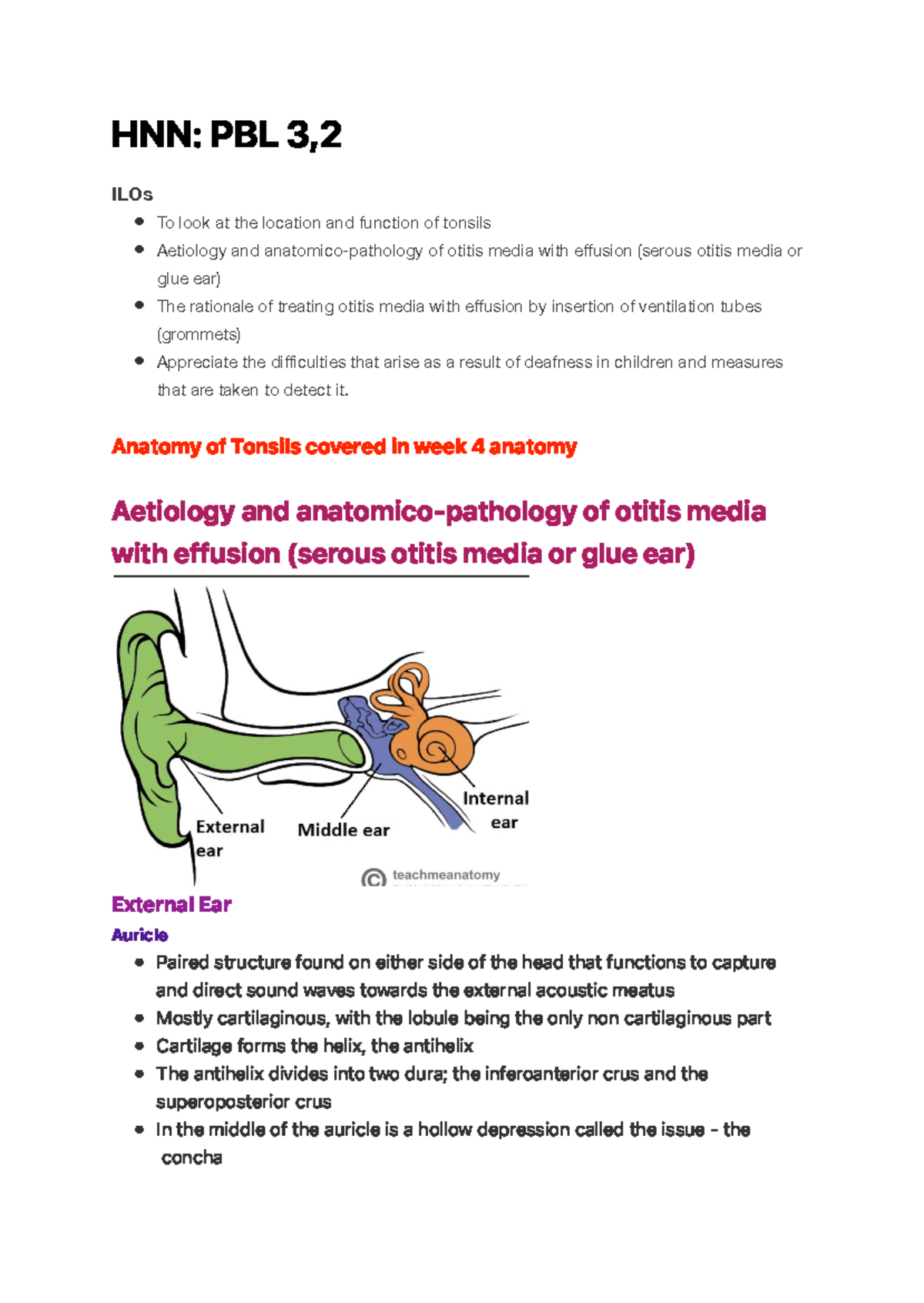 HNN PBL 3,2 - Head Neck and Neuro PBL2 and 3 Summary - H N N : P B L 3 ...