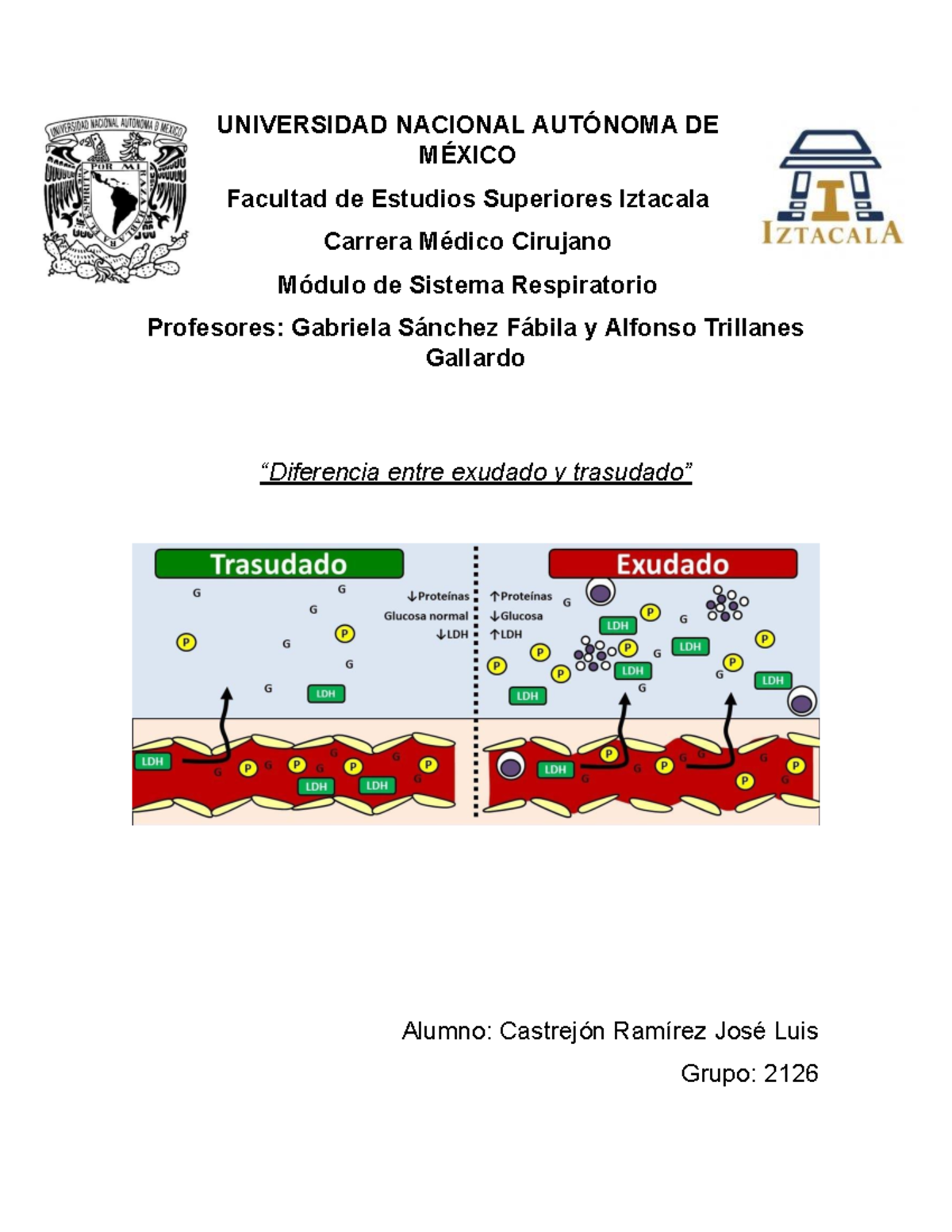 Diferencia Entre Exudado Y Trasudado- Castrejón Ramírez José Luis ...