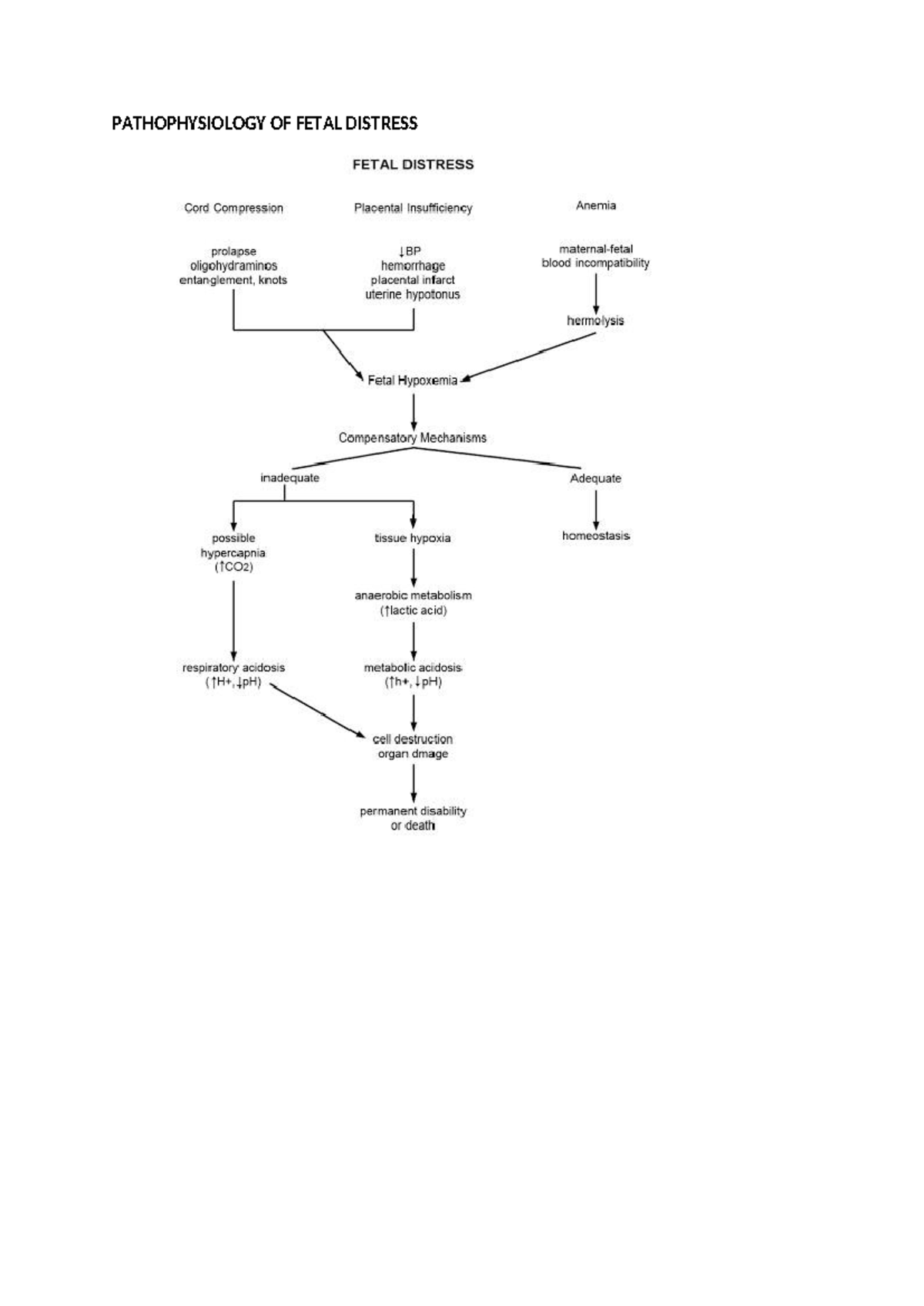 CASC - Enjoy - PATHOPHYSIOLOGY OF FETAL DISTRESS PATHOGENESIS OF FETAL ...