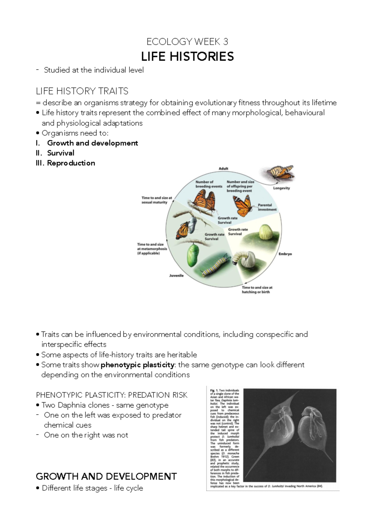 Life histories - Lecture notes from week 3 on Ecology module. - ECOLOGY ...