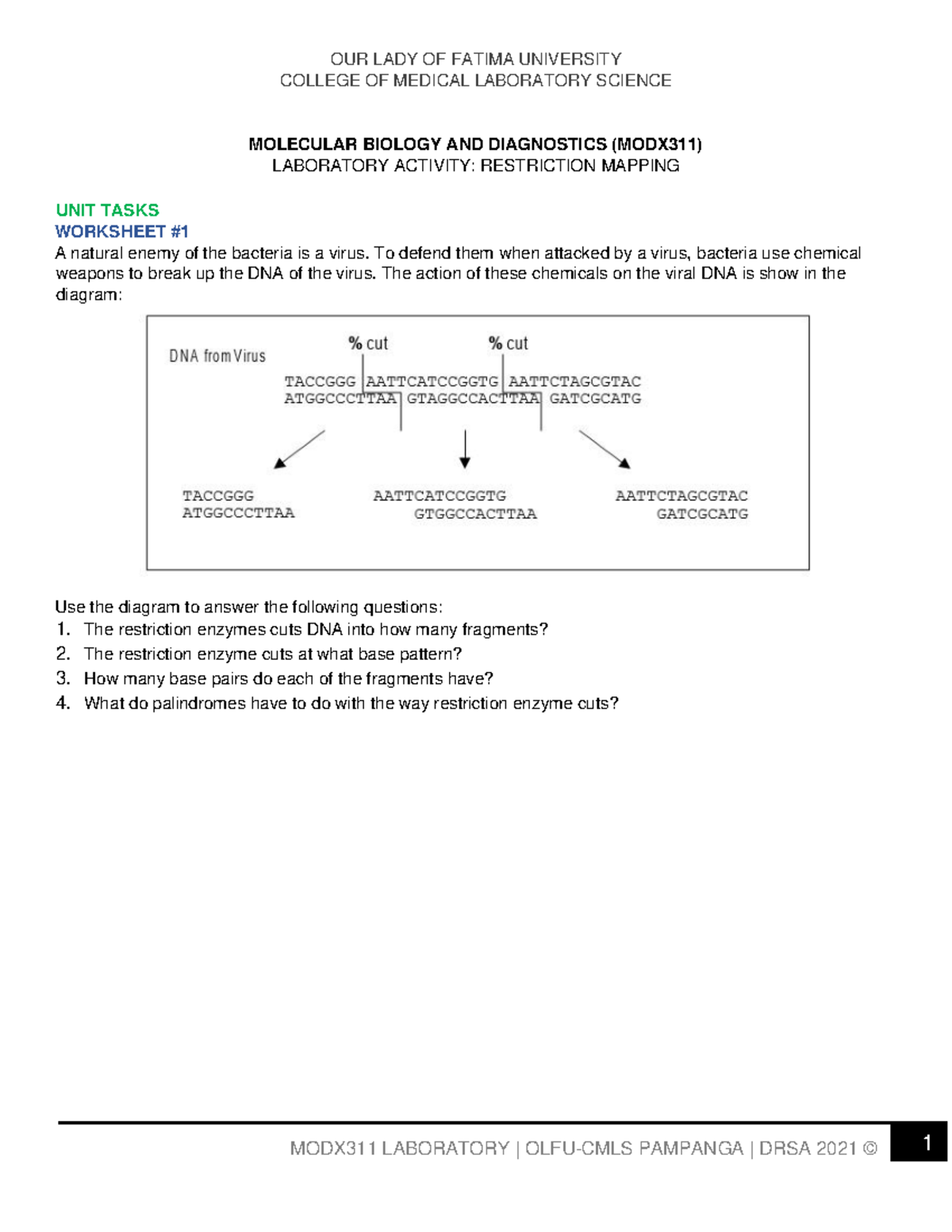 Week 13 Restriction Mapping Activity 1 - OUR LADY OF FATIMA UNIVERSITY ...