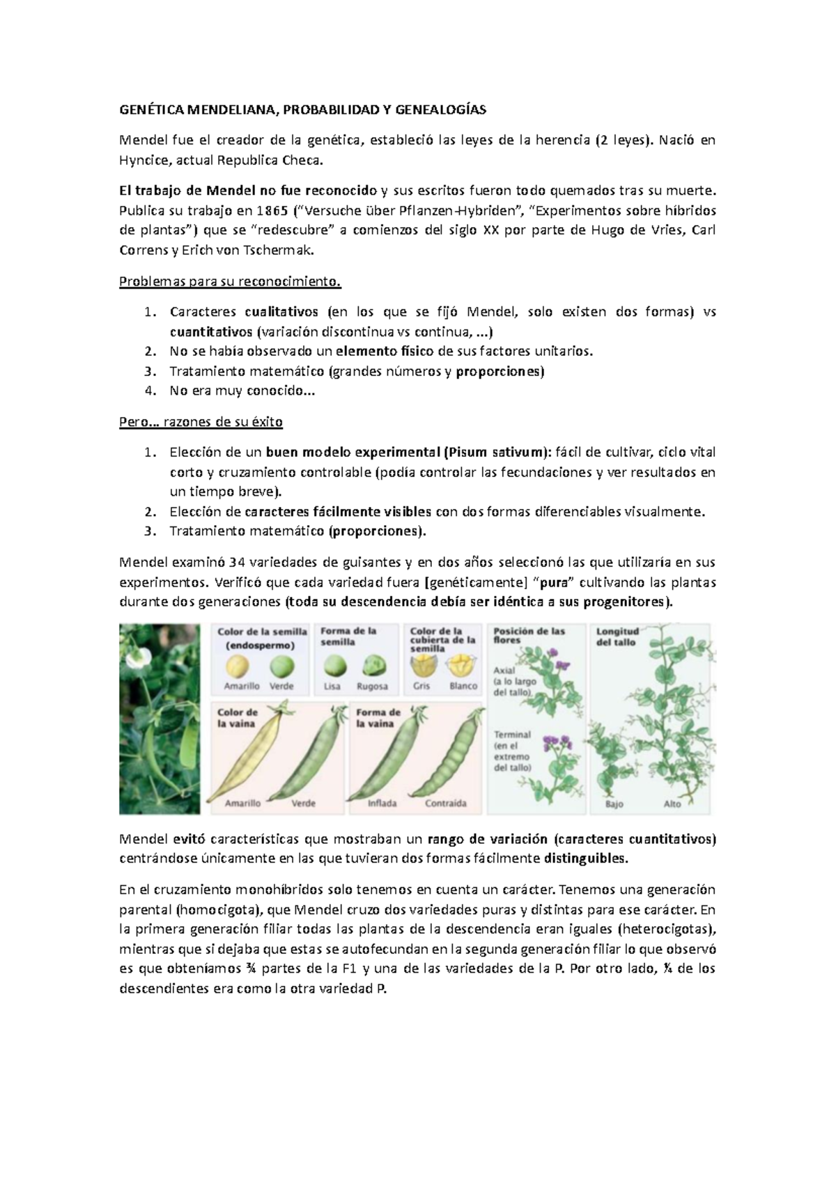 Genética Mendeliana - GENÉTICA MENDELIANA, PROBABILIDAD Y GENEALOGÍAS ...