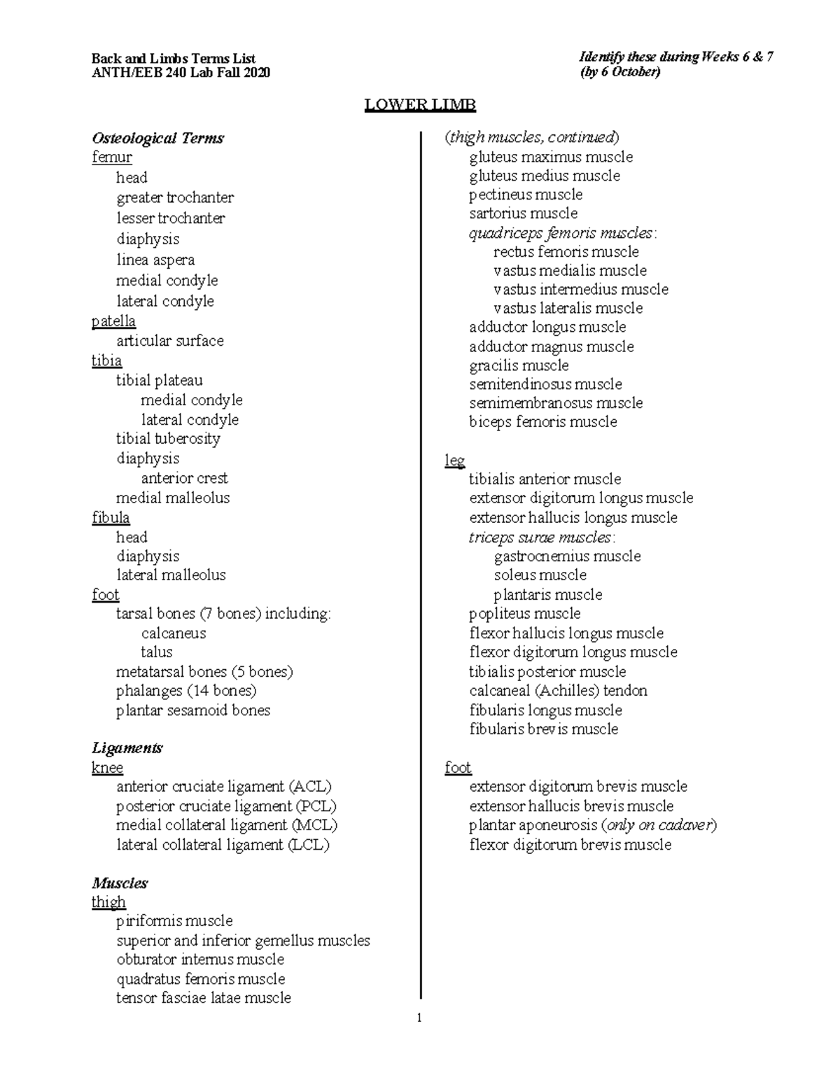 2. Fall 2020 Back and Limbs Lab Terms List - Back and Limbs Terms List ...