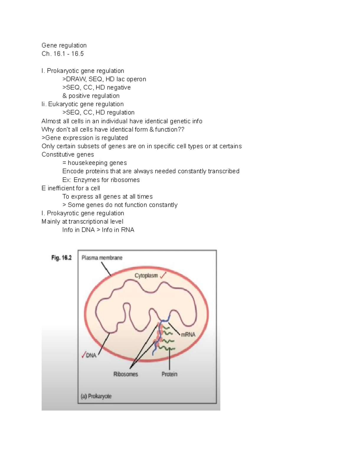 Gene regulation - full notes - Gene regulation Ch. 16 - 16. I ...
