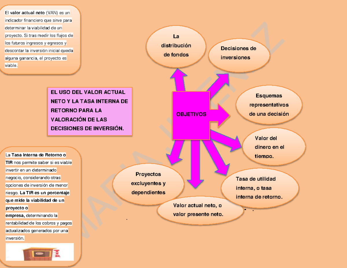 TIR Y VAN Maria Jimenez - . -. EL USO DEL VALOR ACTUAL NETO Y LA TASA ...