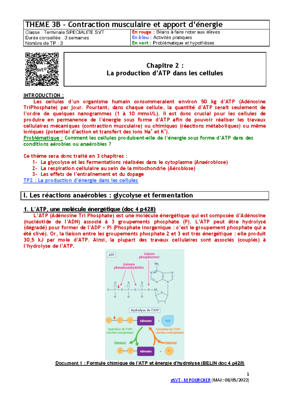 Chapitre 2 origine ATP - 1 THEME 3 B – Contraction musculaire et apport ...