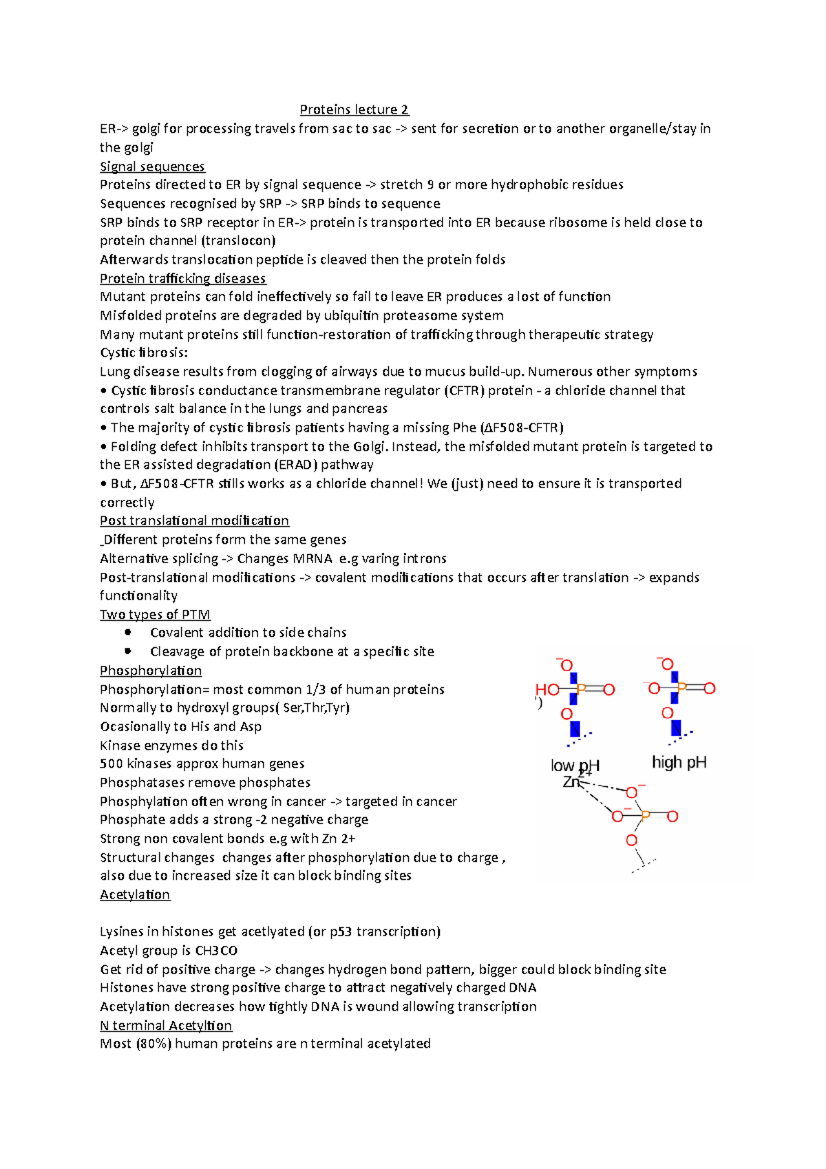 Proteins 2 - Second lecture notes- Post translational modifications ...