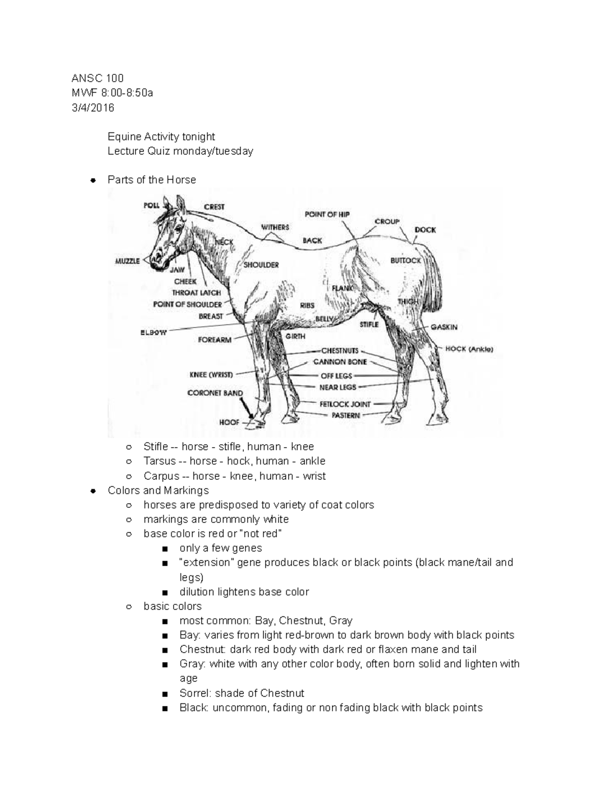 ANSC100_Lecture16 - ANSC 100 MWF 8:00-8:50a 3/4/2016 Equine Activity ...