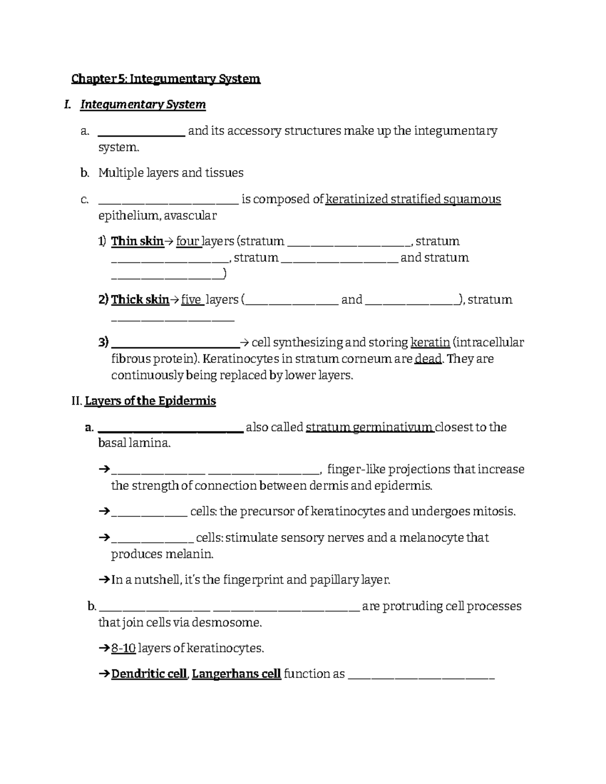 BIO 150 Integumentary System Review CH 5 - Chapter 5: Integumentary ...