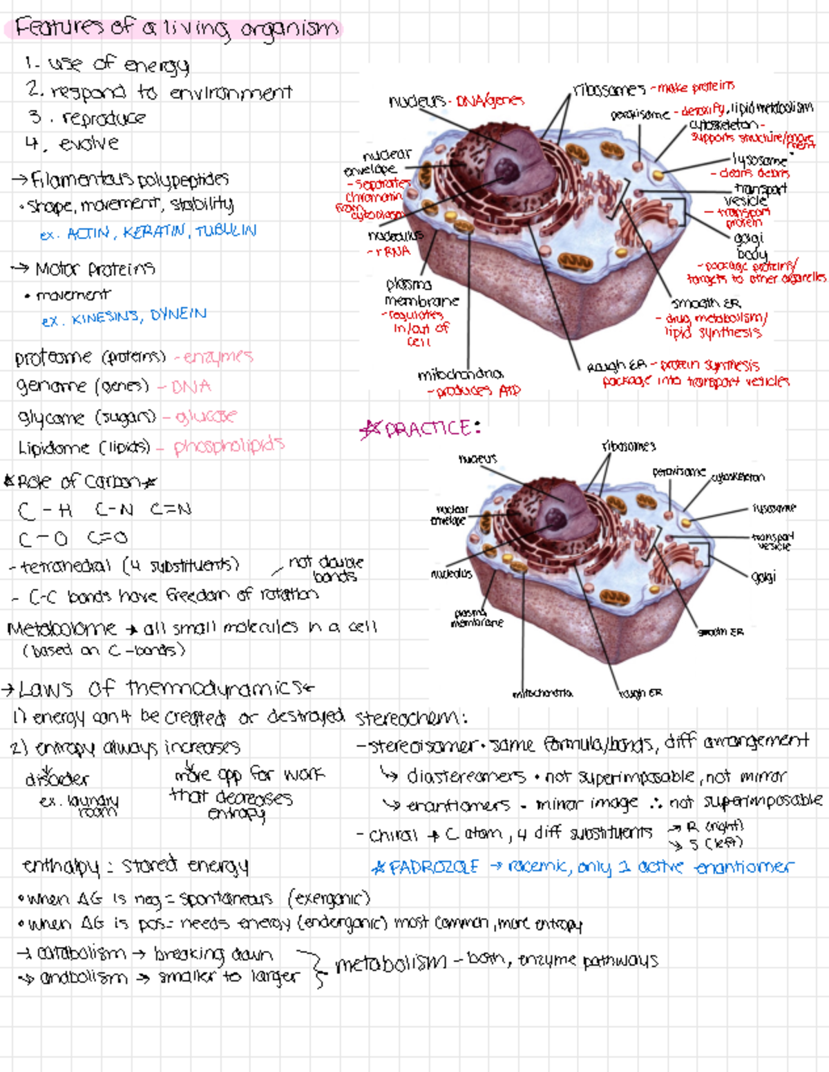 Exam 1 (biochem) - Features of a living organism 1. use of energy 2 ...