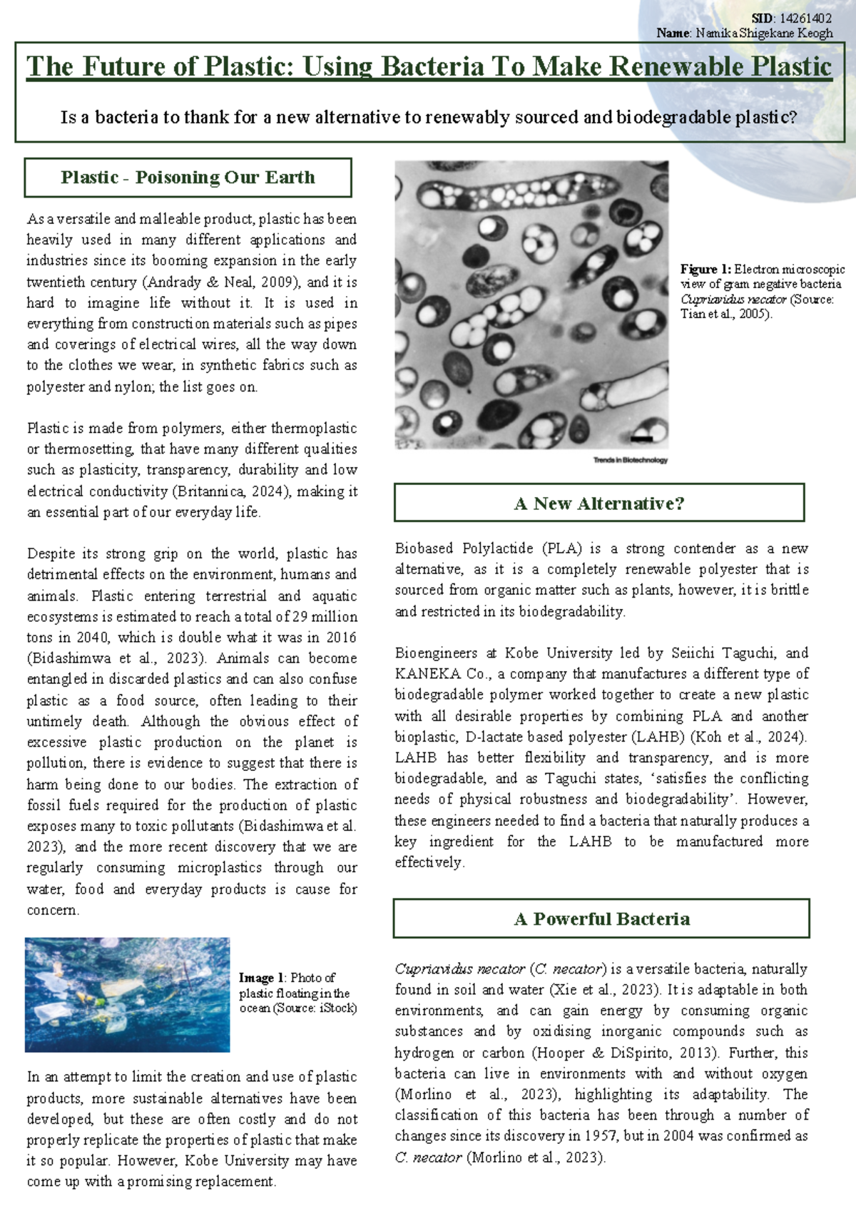 Magazine article HD - The Future of Plastic: Using Bacteria To Make ...