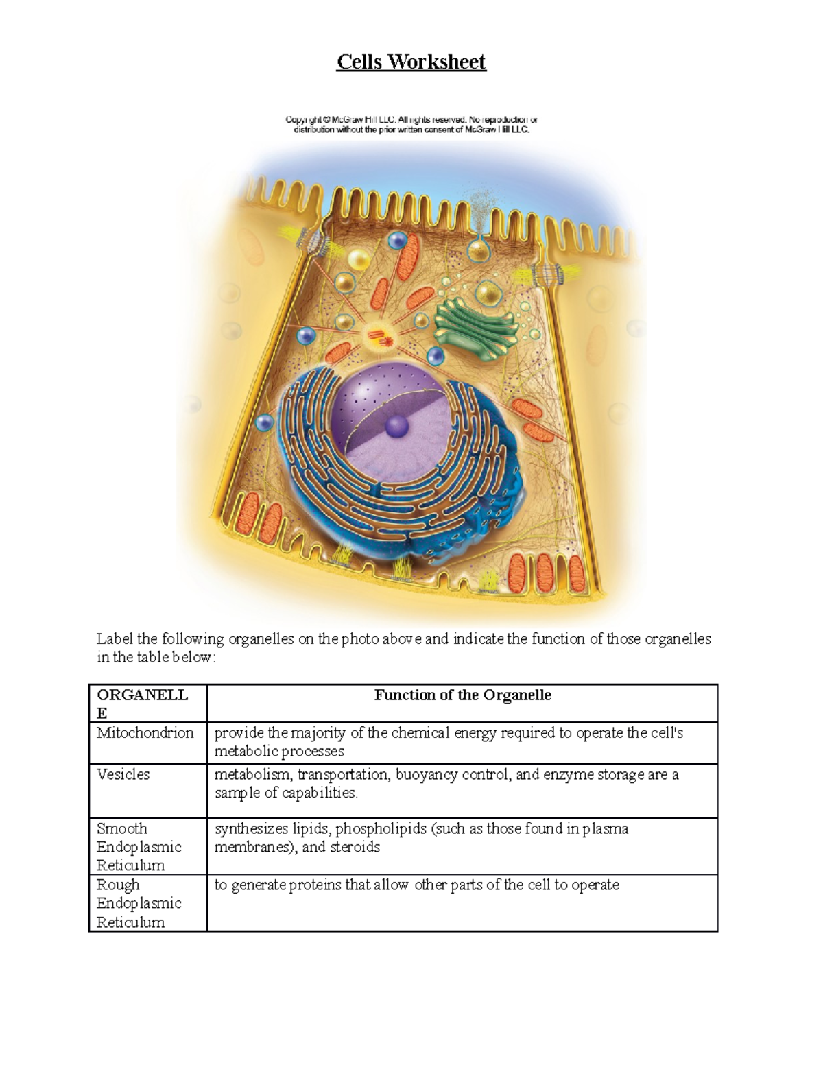 Week 3 Worksheet - Label the following organelles on the photo above ...