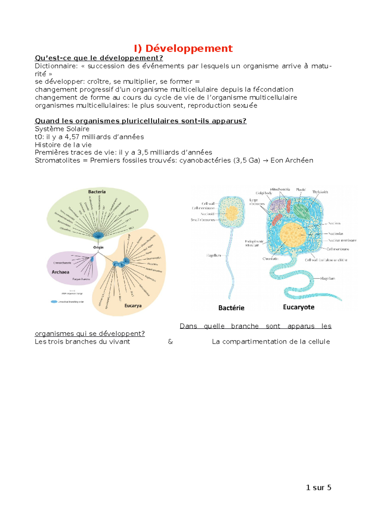 Biologie Evolutive Developpement des métazoaire - I) Développement Qu ...