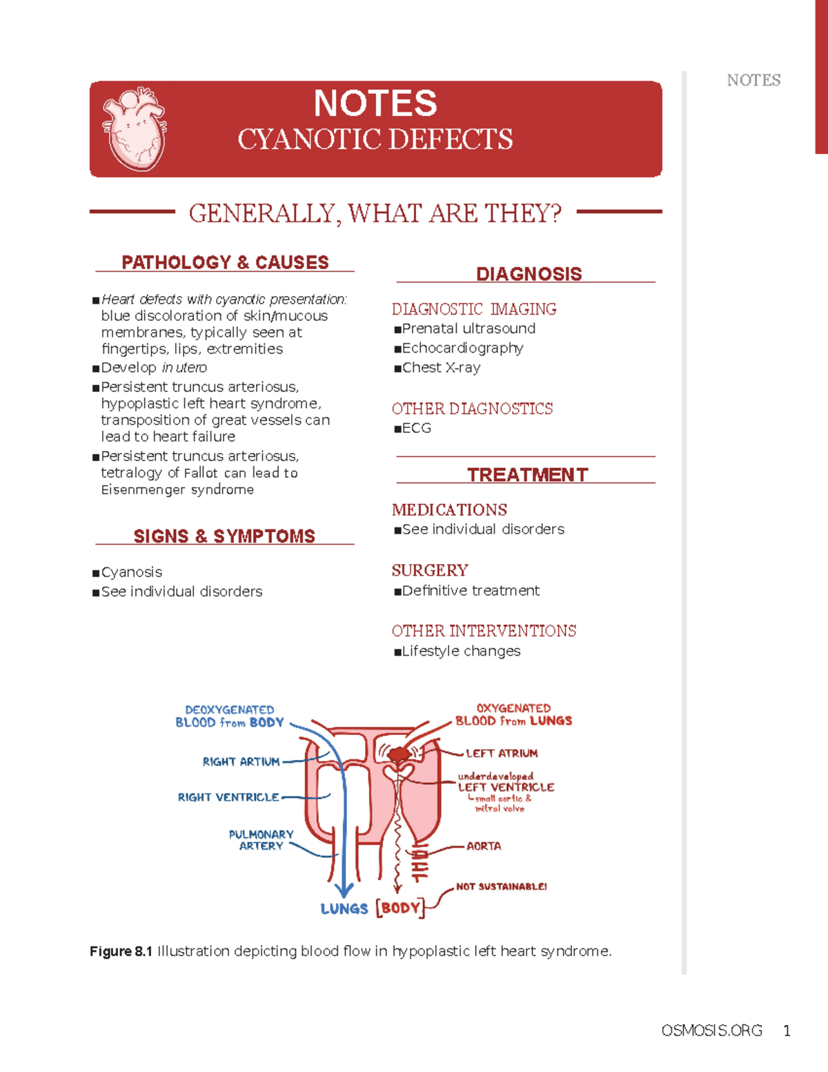 Cyanotic defects - OSMOSIS 1 NOTES CYANOTIC DEFECTS ####### NOTES ...