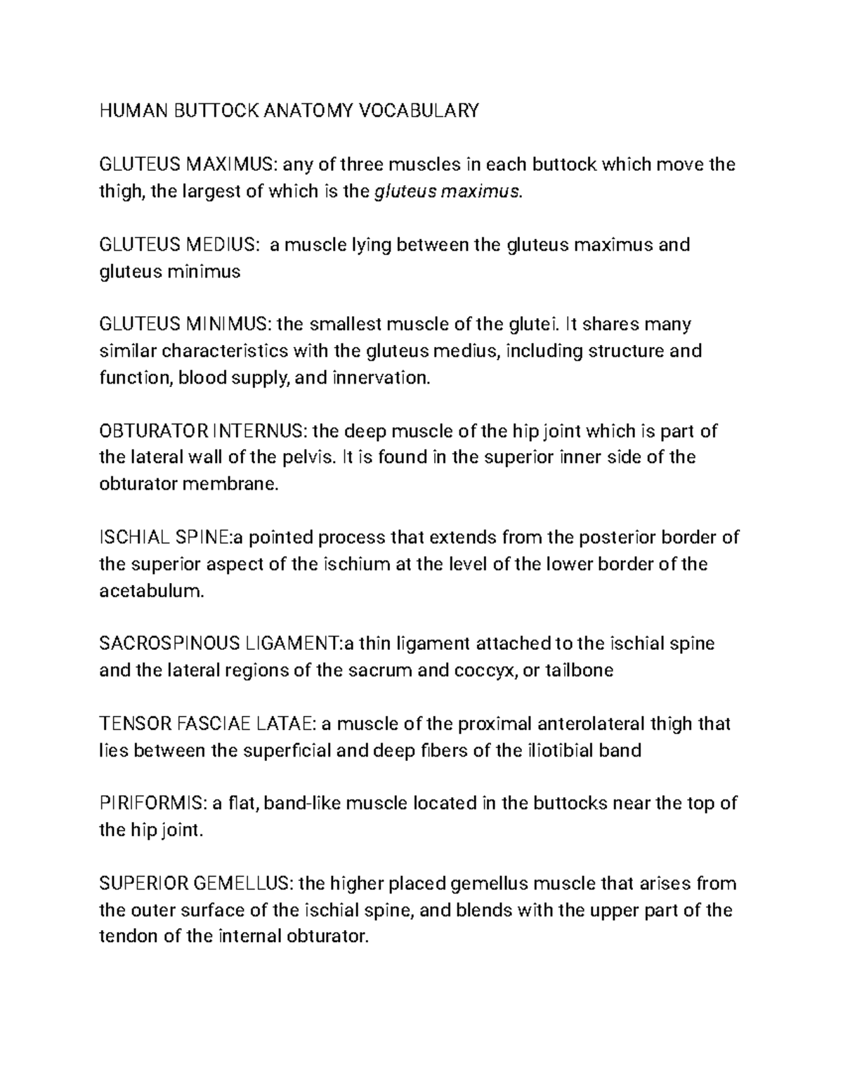 Human Buttock Anatomy Vocabulary 1 - HUMAN BUTTOCK ANATOMY VOCABULARY ...