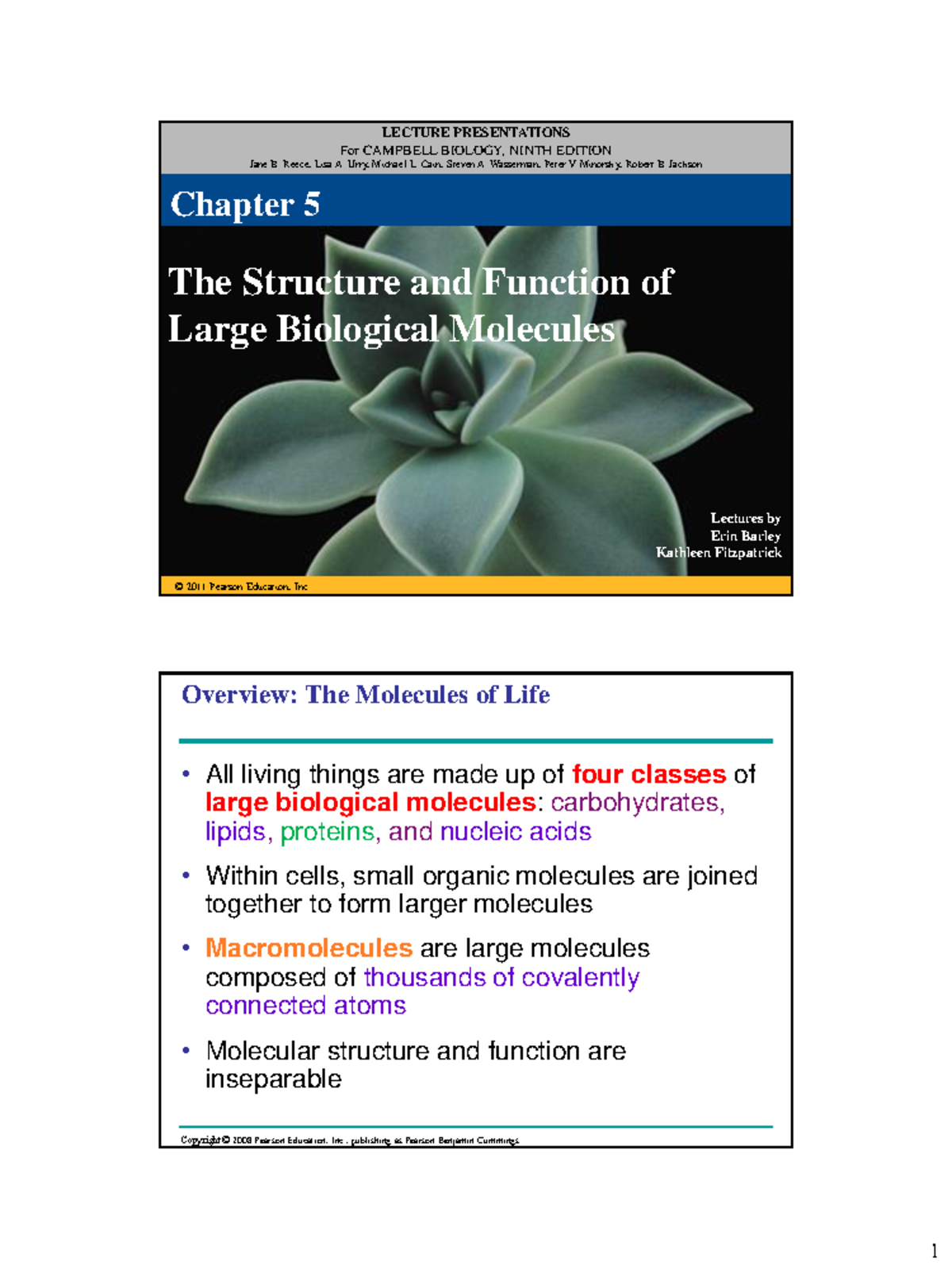 نسخة من Ch.5 Organic molecules - LECTURE PRESENTATIONS For CAMPBELL ...