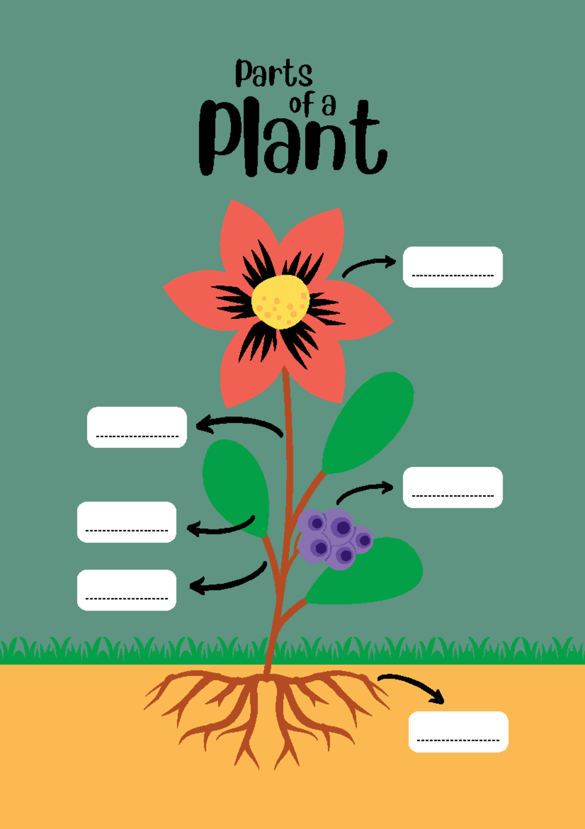 Plant Observation Worksheet 15 A4 - .................... Parts Plant of ...