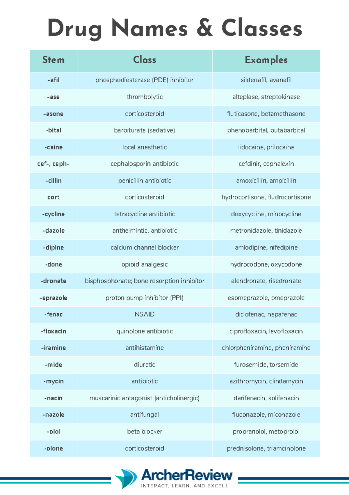 Ae58eec5 a24c 4765 819f b850eb318b7f - Stem Class Examples -afil ...