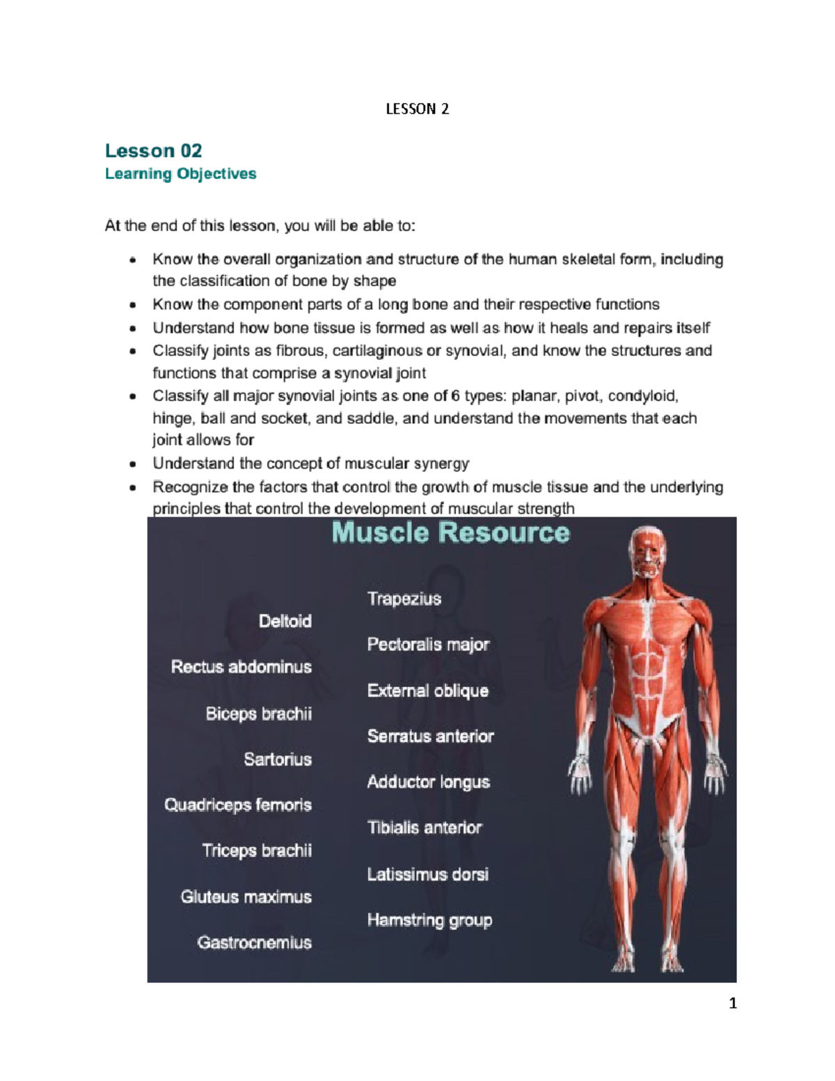 Lesson 2 EXCI 202 Notes - LESSON Overview of the human body structure ...
