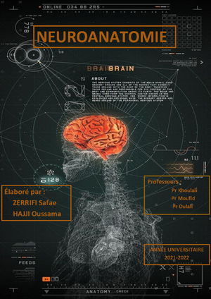 Schemas DE LA Neuroanatomie - cours medicine - Studocu
