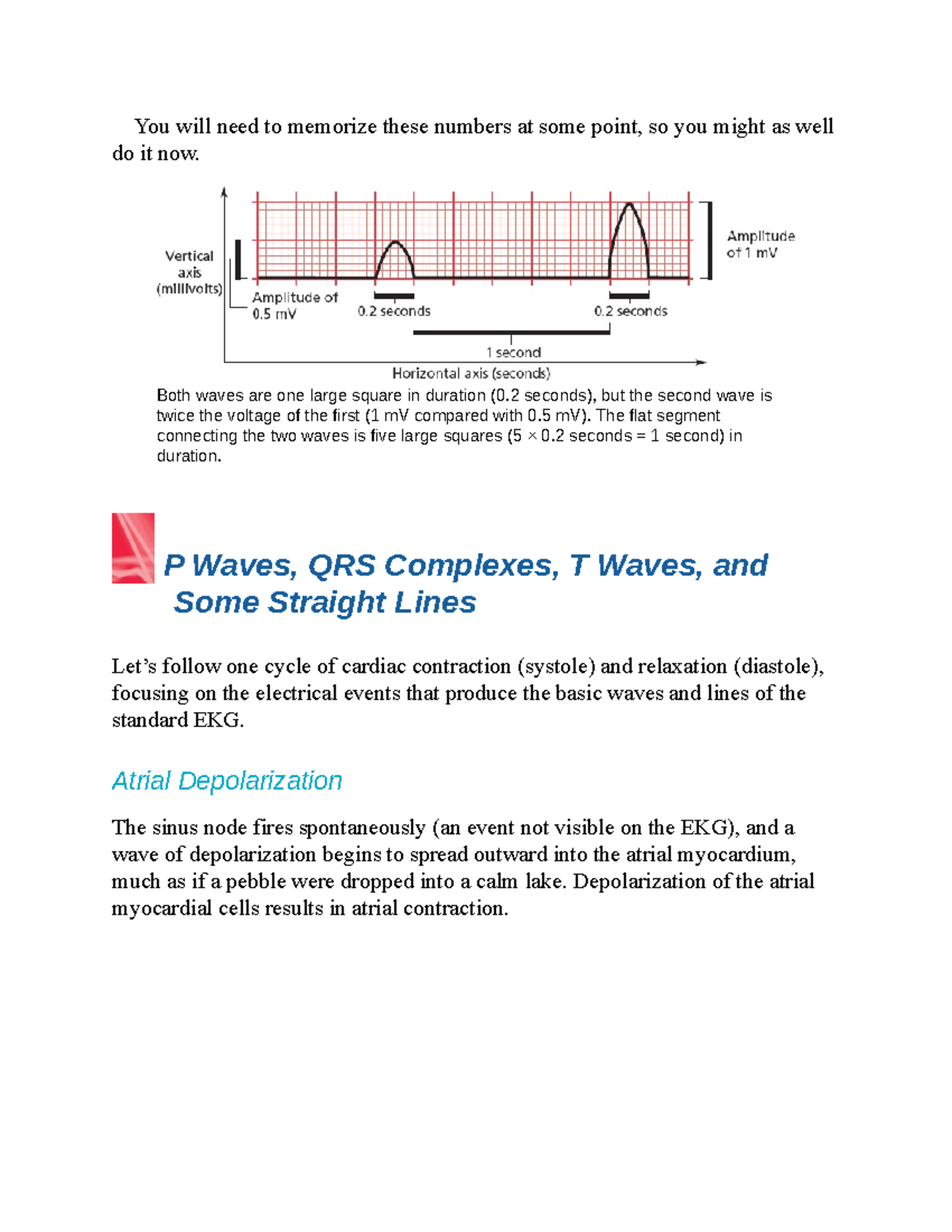 The only EKG-10 - The Waves and Straight Lines of the EKG - You will ...