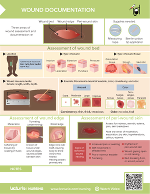 Psych nurse report sheet - Psych Nurse Report Sheet Patient Information ...