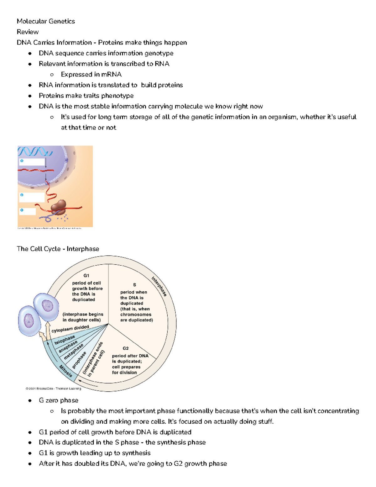 Molecular Genetics - Molecular Genetics Review DNA Carries Information ...
